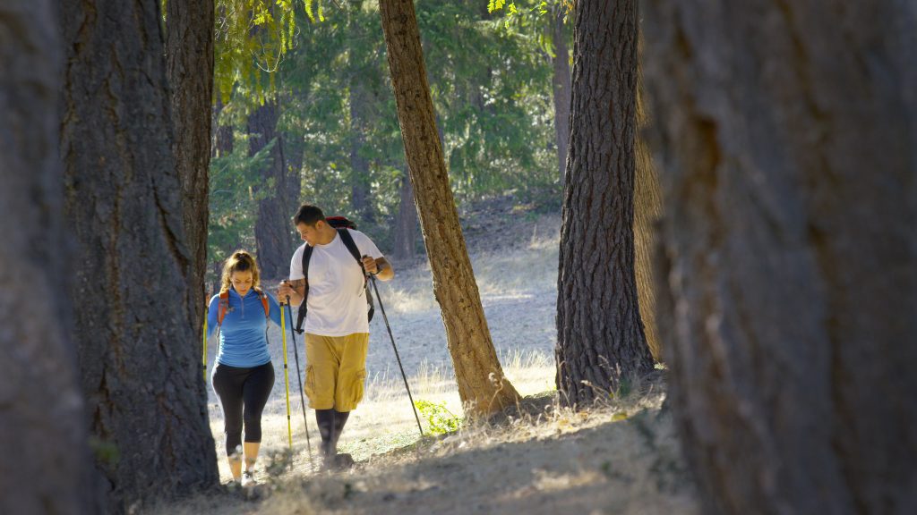 Ottawa National Forest – The Porcupine Mountains & Ontonagon Area